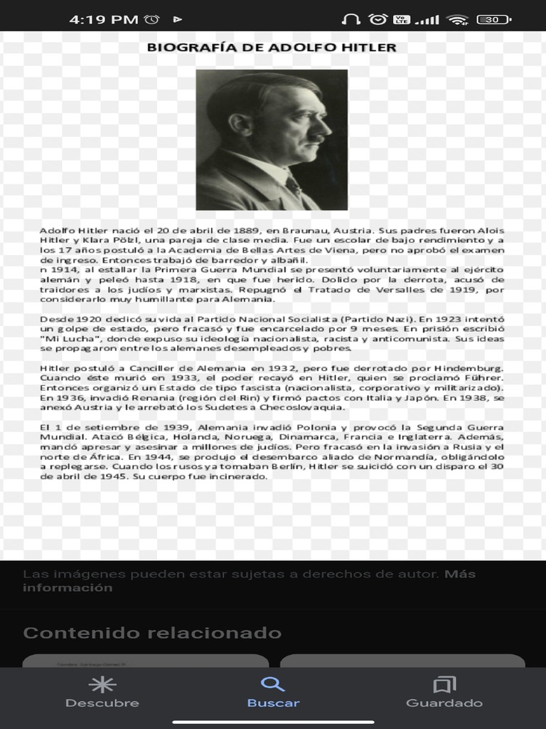 Infografia de Adolfo Hitler Resumido y Detallado 23 | PDF