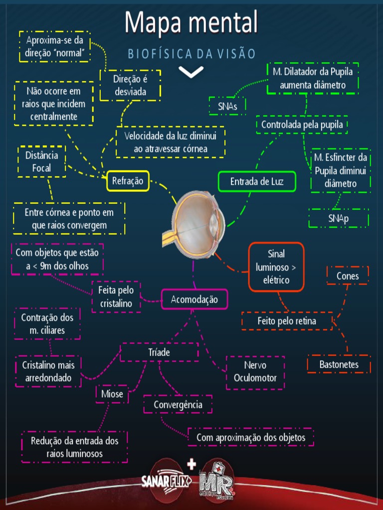 Biofísica Da Visão (Mapa Mental) | PDF