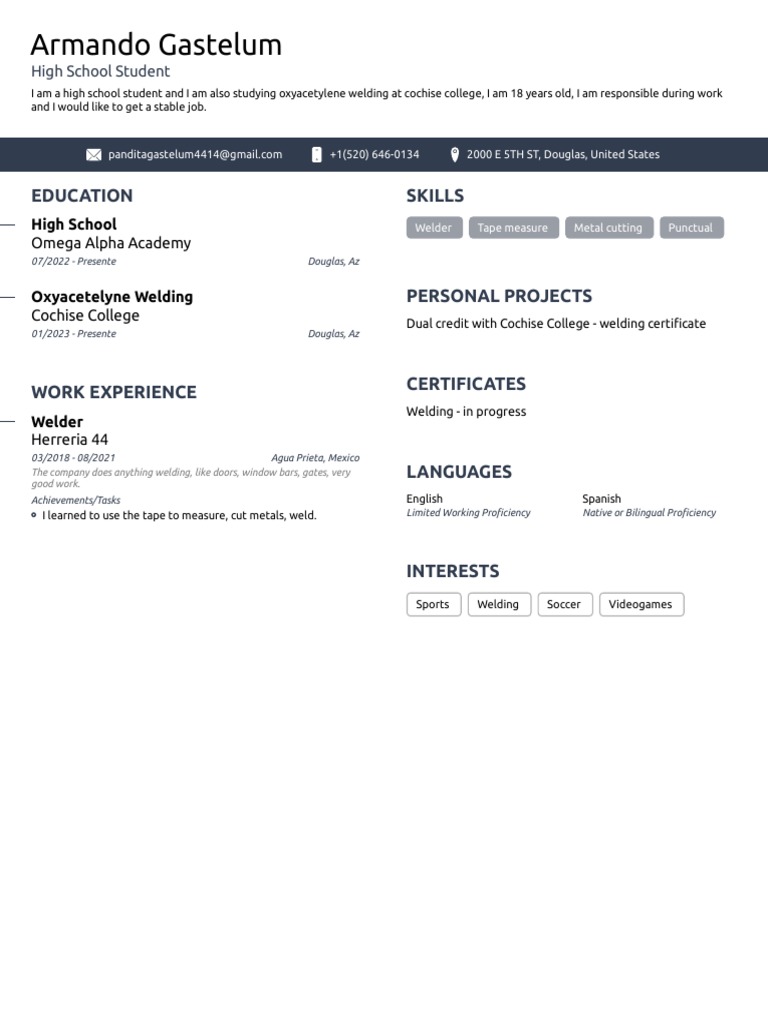 Armando's Resume | PDF