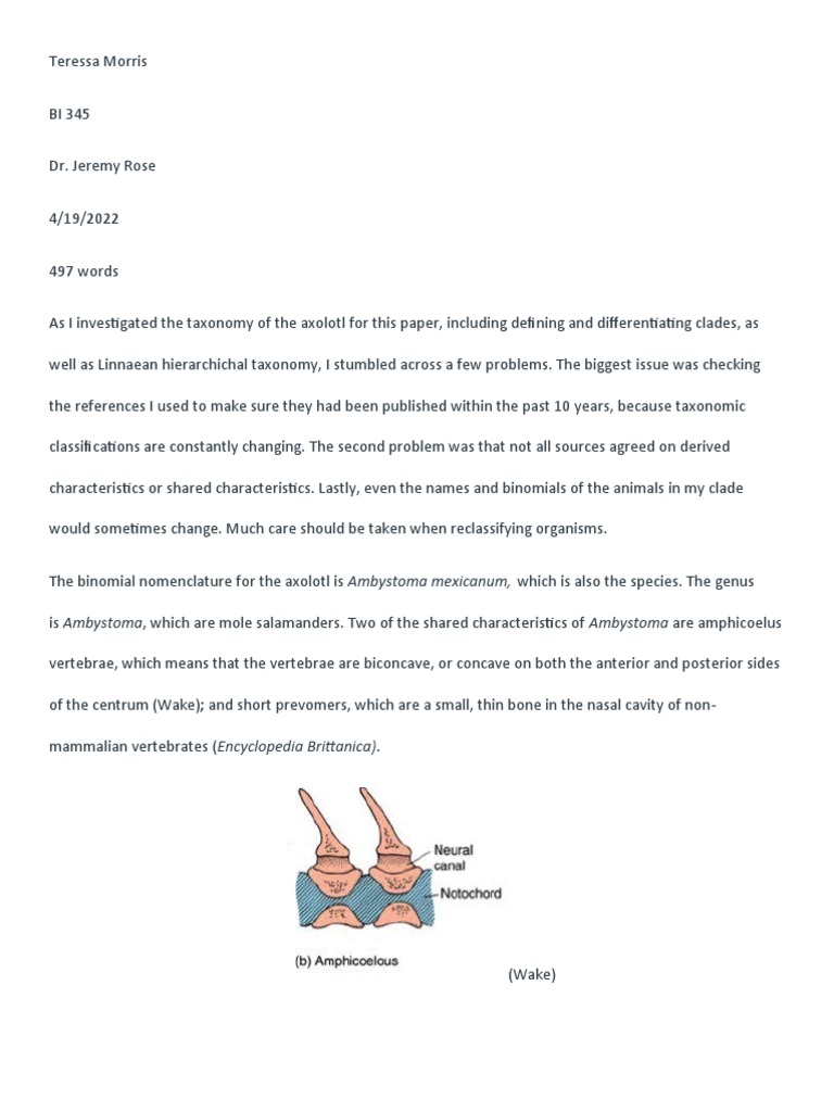 Axolotl Taxonomy | PDF