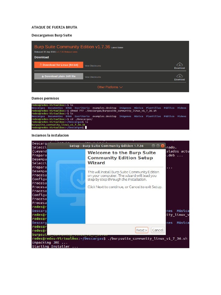 Ataque de Fuerza Bruta | PDF