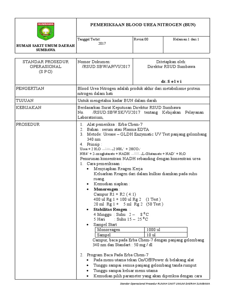 Pemeriksaan Blood Urea Nitrogen (Bun) | PDF
