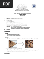 Energy Transformation Lesson Plan | PDF | Learning | Curriculum