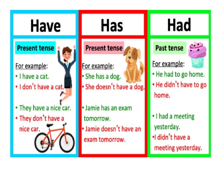 Has Have Had | PDF