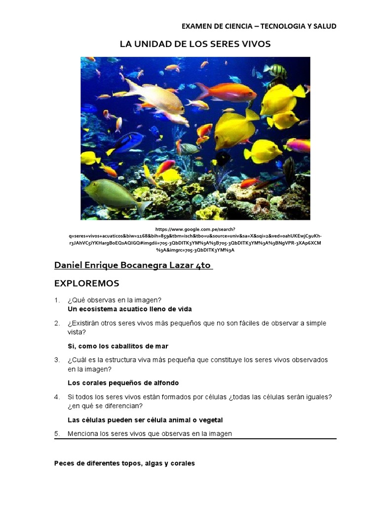 Examen de Ciencian Tecnologia y Salud | PDF