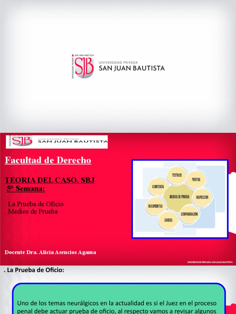 5° Clase - Teoria Del Caso | PDF 5° Clase - Teoria Del Caso | PDF