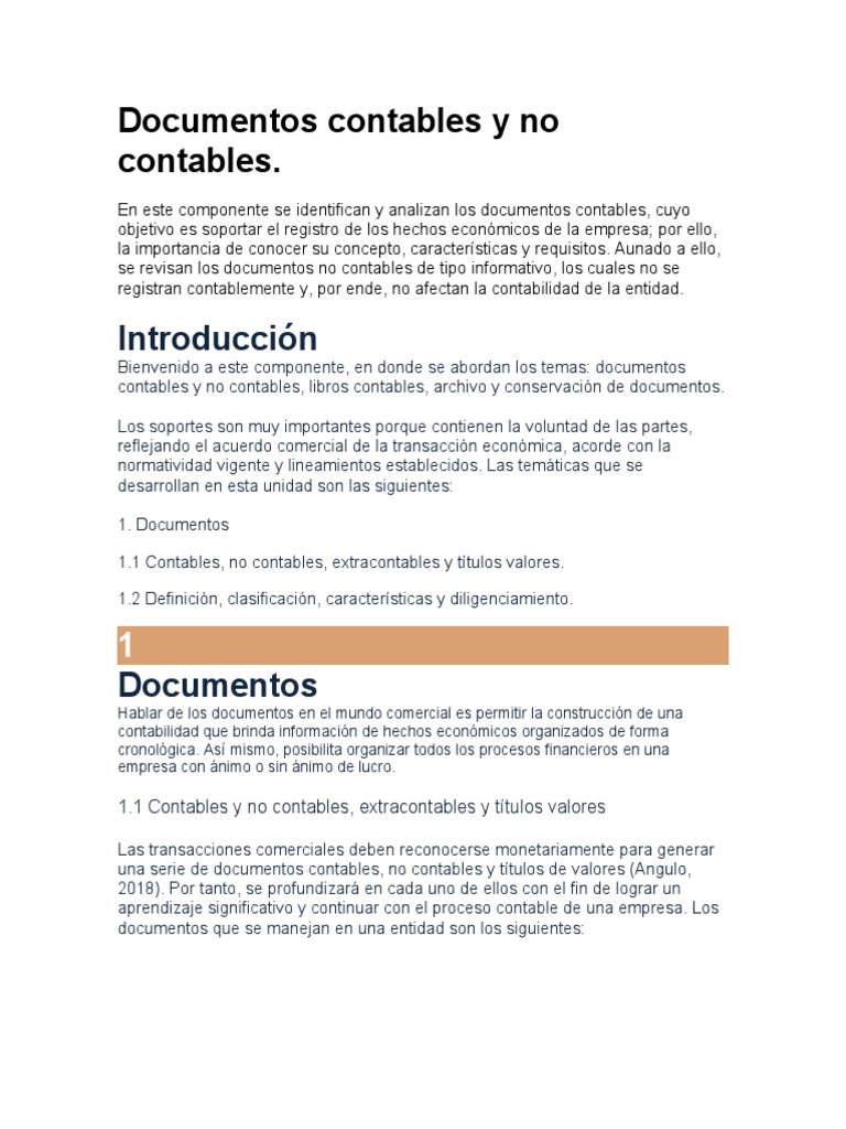Documentos Contables y No Contables | PDF
