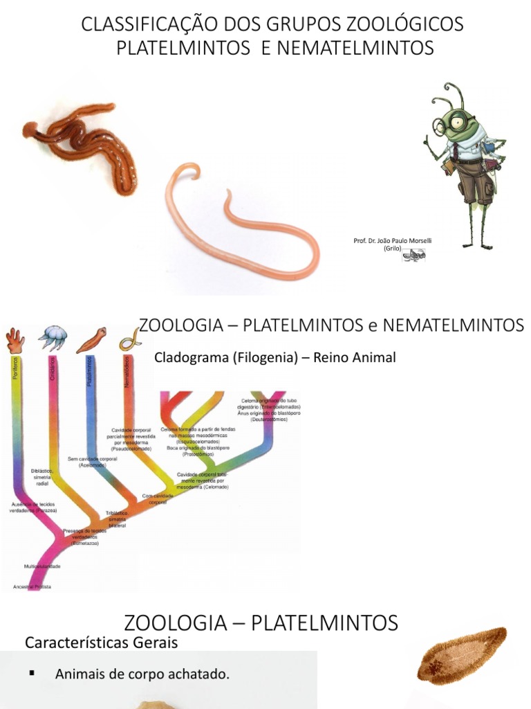 1 ANO - PLATELMINTOS e NEMATELMINTOS | PDF | Nematoda | Zoologia