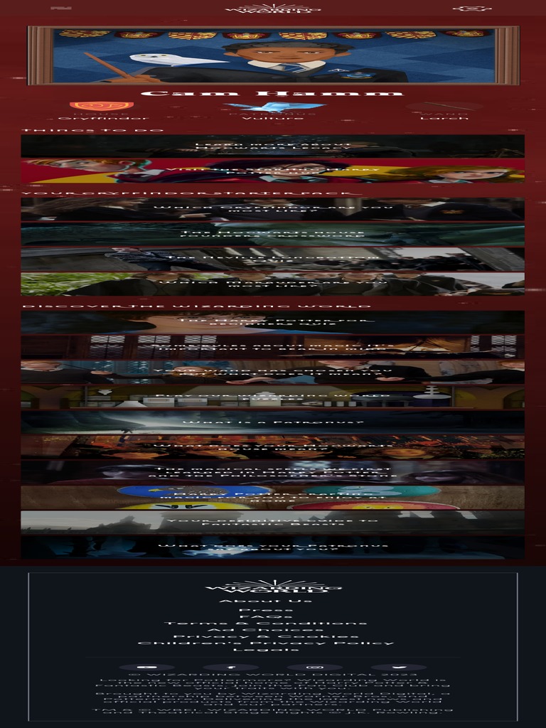 Wizarding World - Profile | PDF