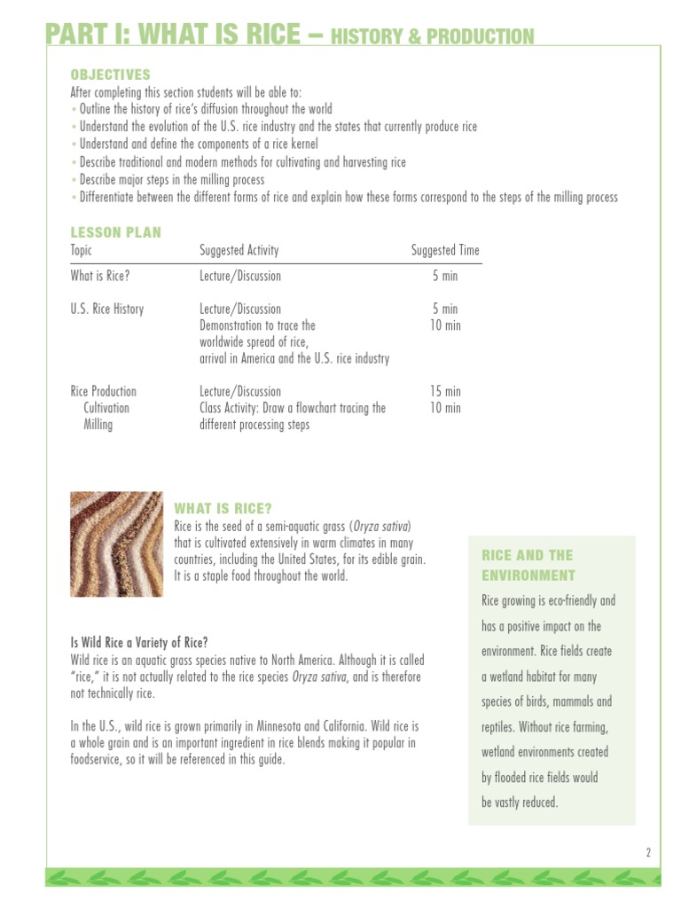 Part I What Is Rice | PDF | Rice | Cereals