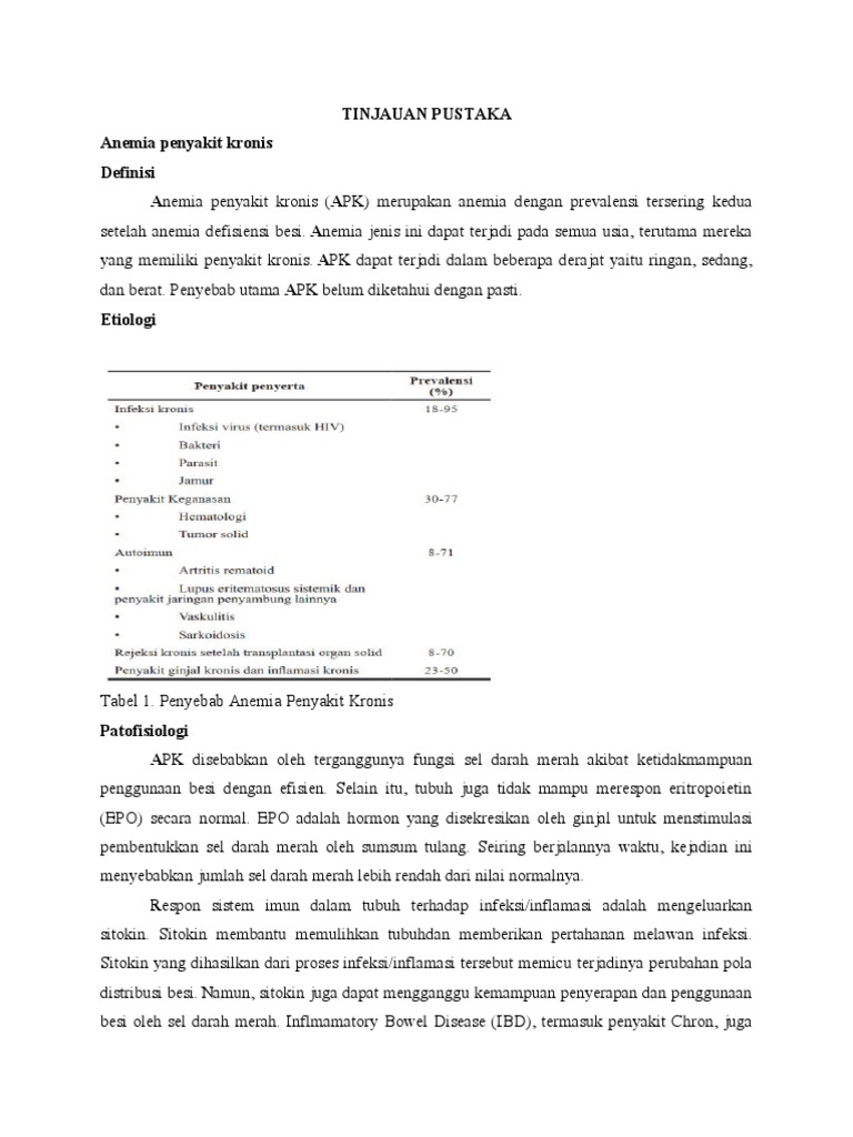 Apk Anemia Penyakit Kronis Pdf Kesehatan Holistik