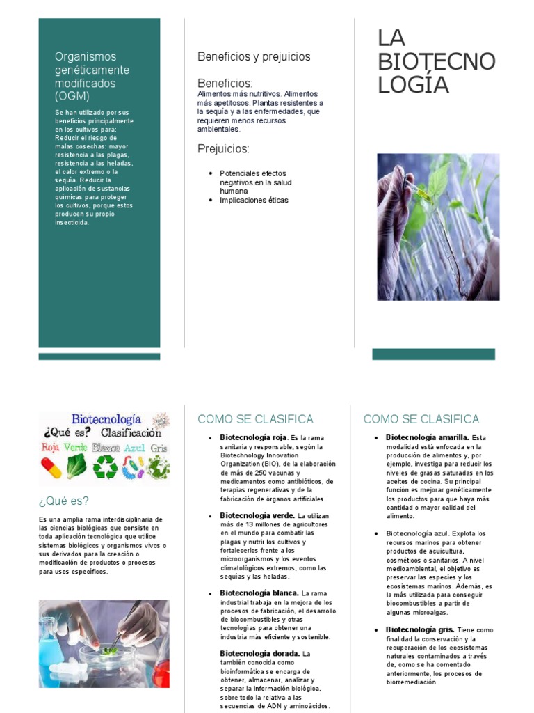 Integradora Modulo 17 Parte 2 | PDF | Bienestar | Ciencia y matemática
