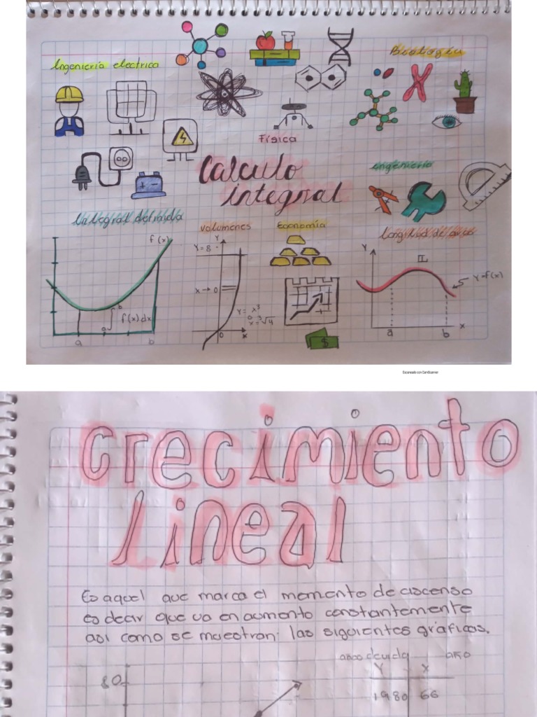 Crecimiento Lineal | PDF