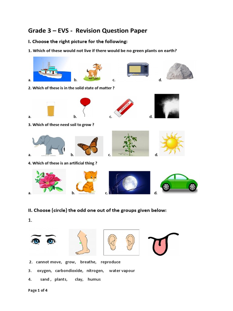 Grade 3 - EVS - Revision Question Paper: I. Choose The Right Picture ...