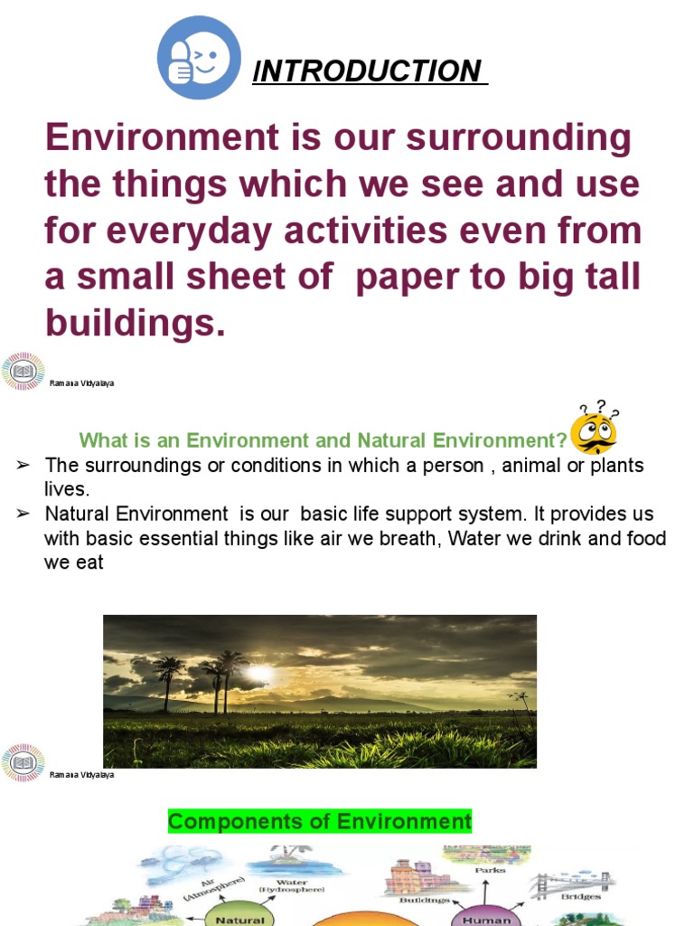 Understanding Environment Basics | PDF