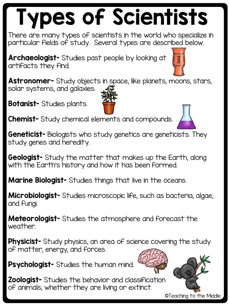 Types of Scientists Identification Student Version Color | PDF