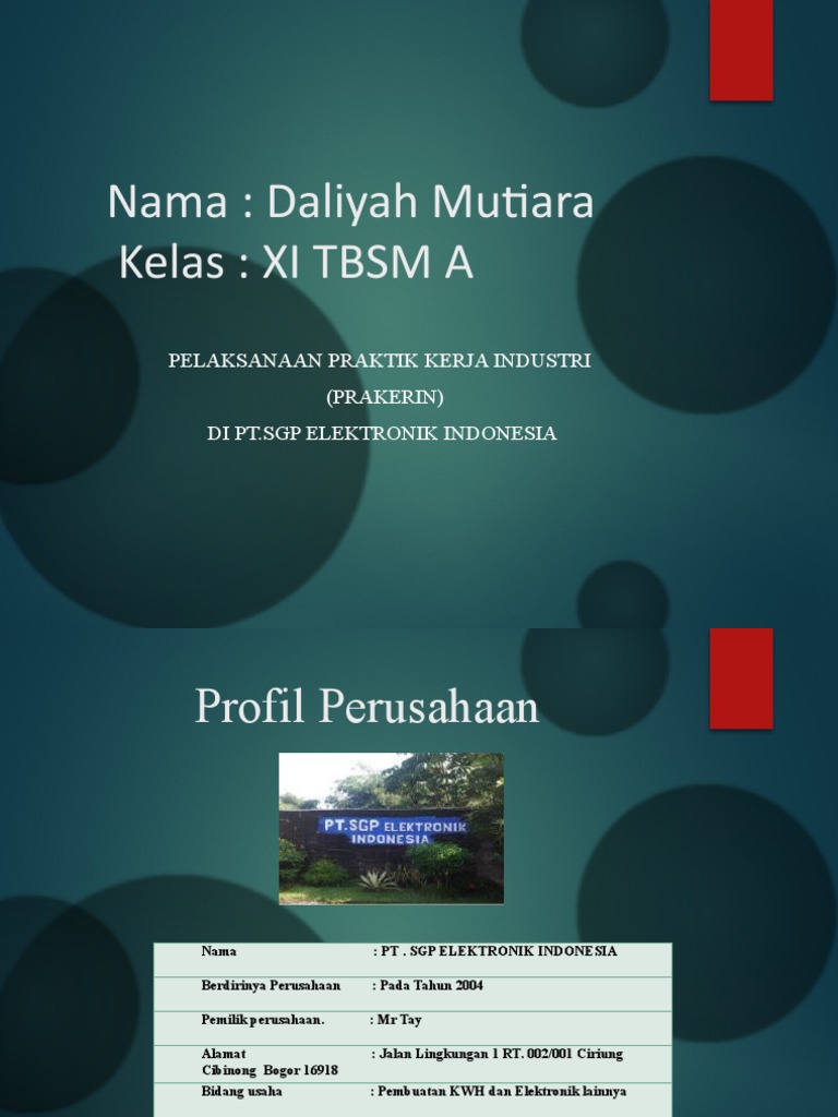 Power Point Daliyah | PDF