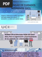 Resumen Norma 025 | PDF | Unidad de Cuidados Intensivos | Enfermedades ...