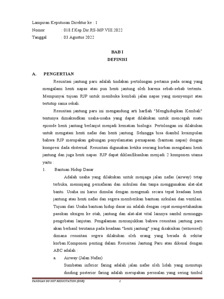 Panduan DNR | PDF