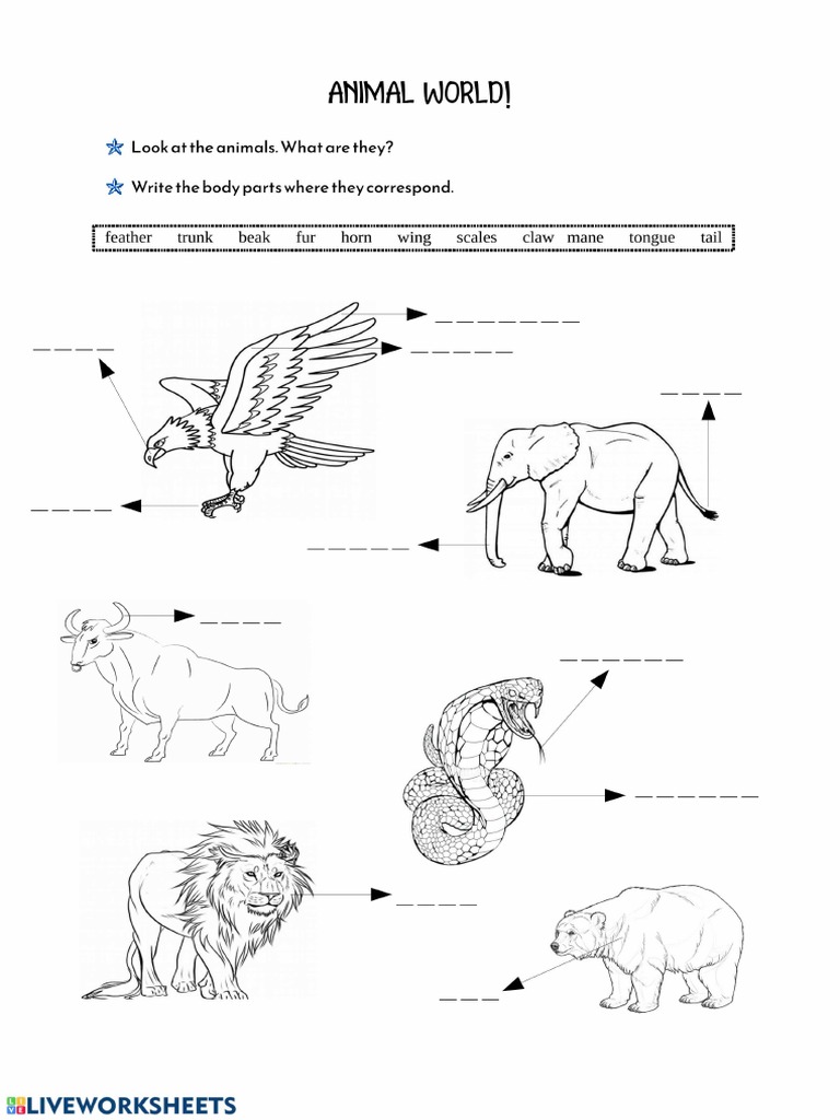Animal Body Parts | PDF