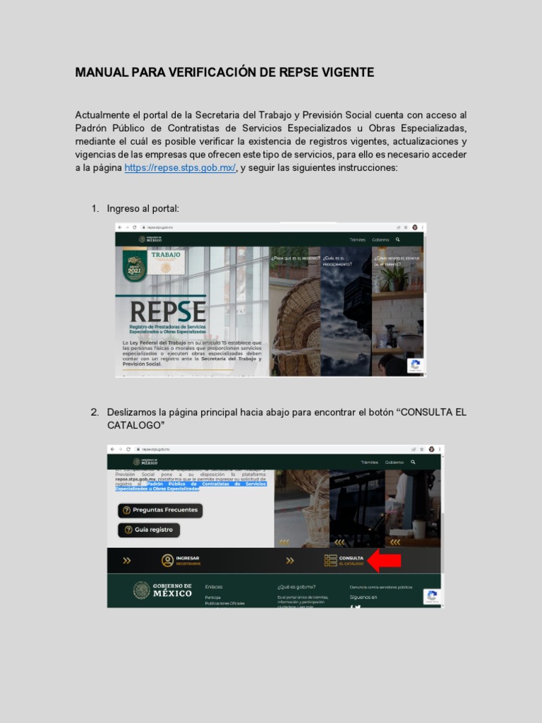 MANUAL PARA VERIFICACIÓN DE REPSE VIGENTE | PDF