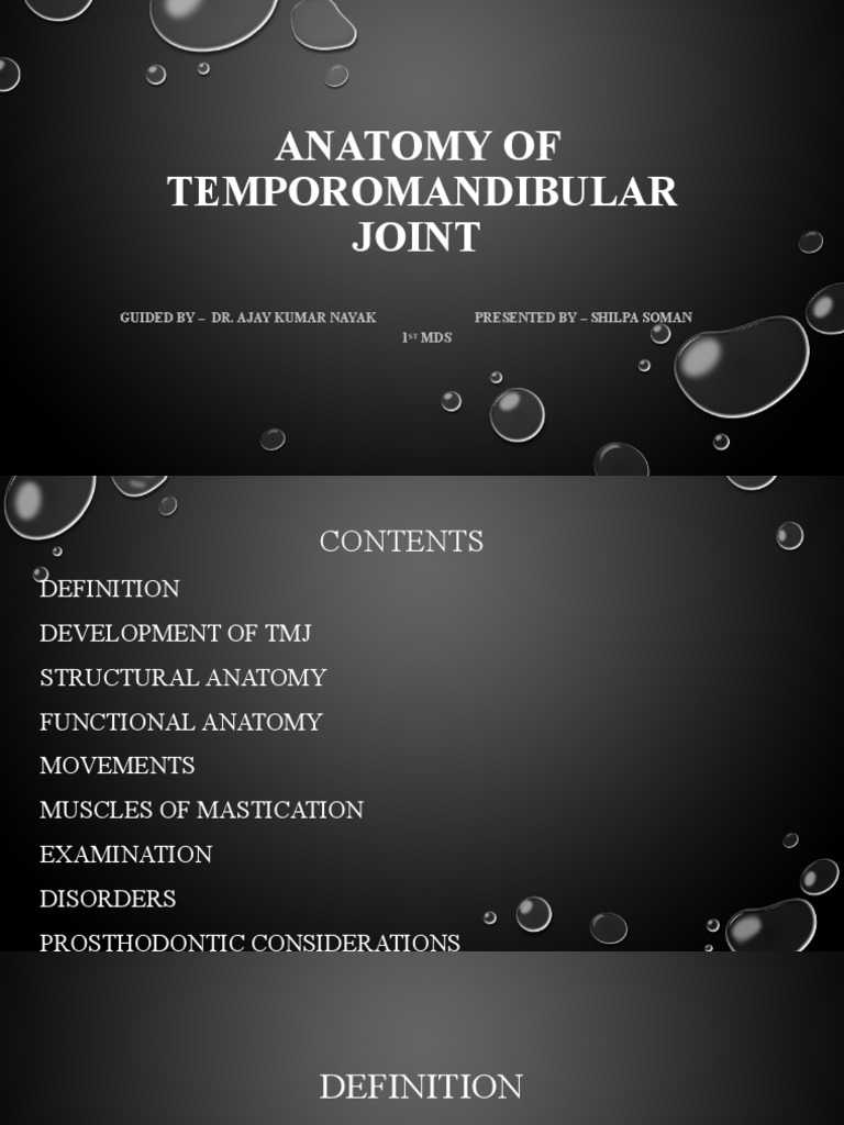 s2 TMJ | PDF | Skeletal System | Anatomy