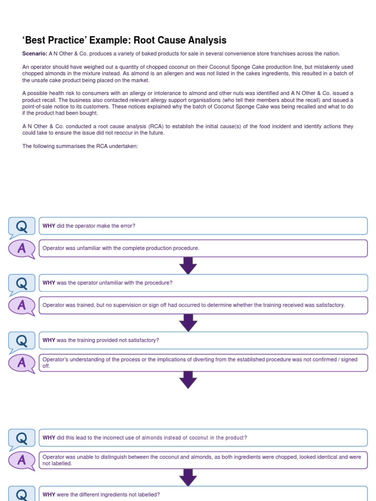 Root Cause Analysis Best Practice Example Final | PDF
