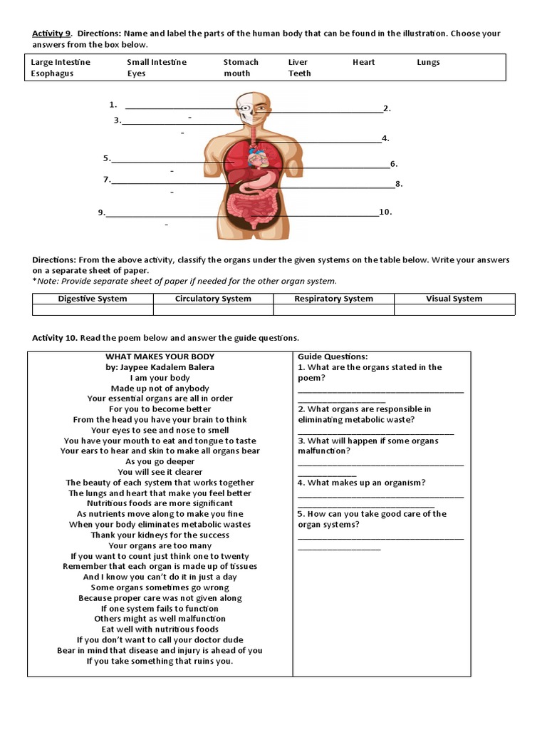 Human and Plant Organ Systems Overview | PDF | Plants | Tissue (Biology)