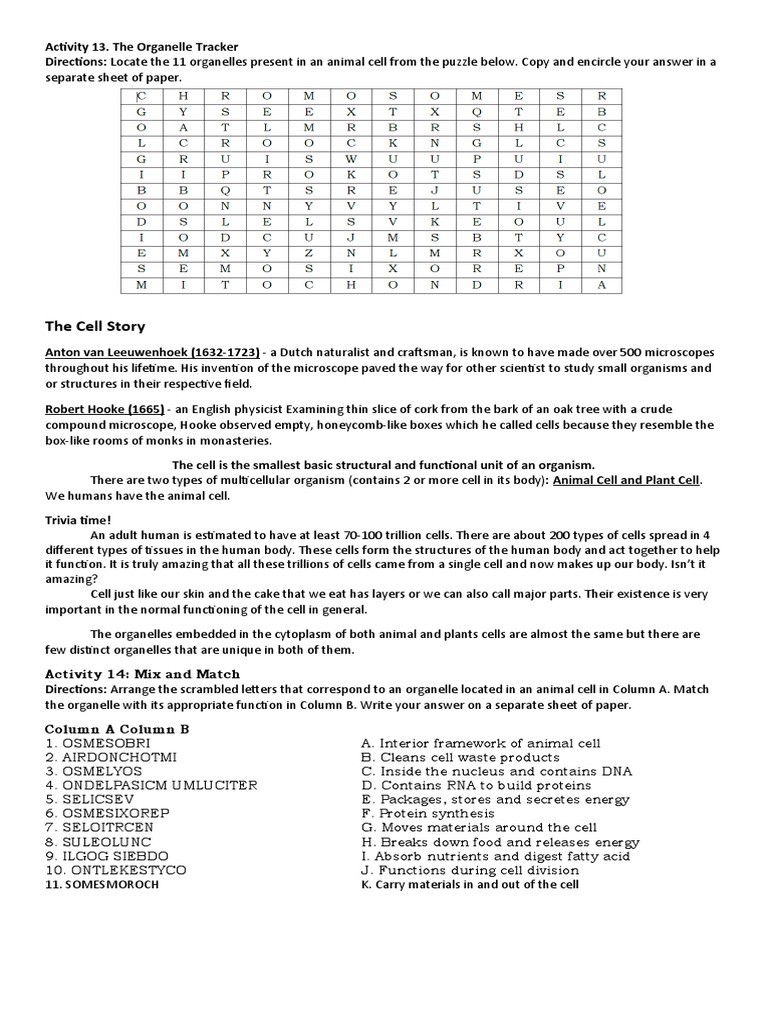 Science 7 Q2 Lesson 3 Cell | PDF