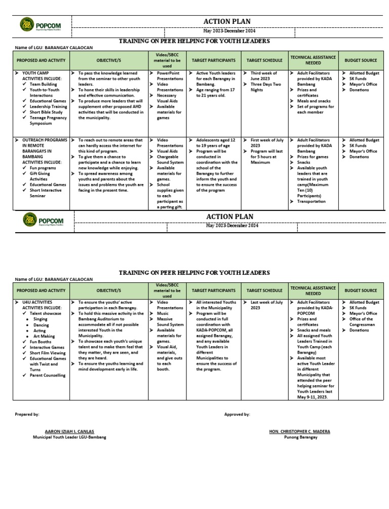 Peer Helping Action Plan | PDF