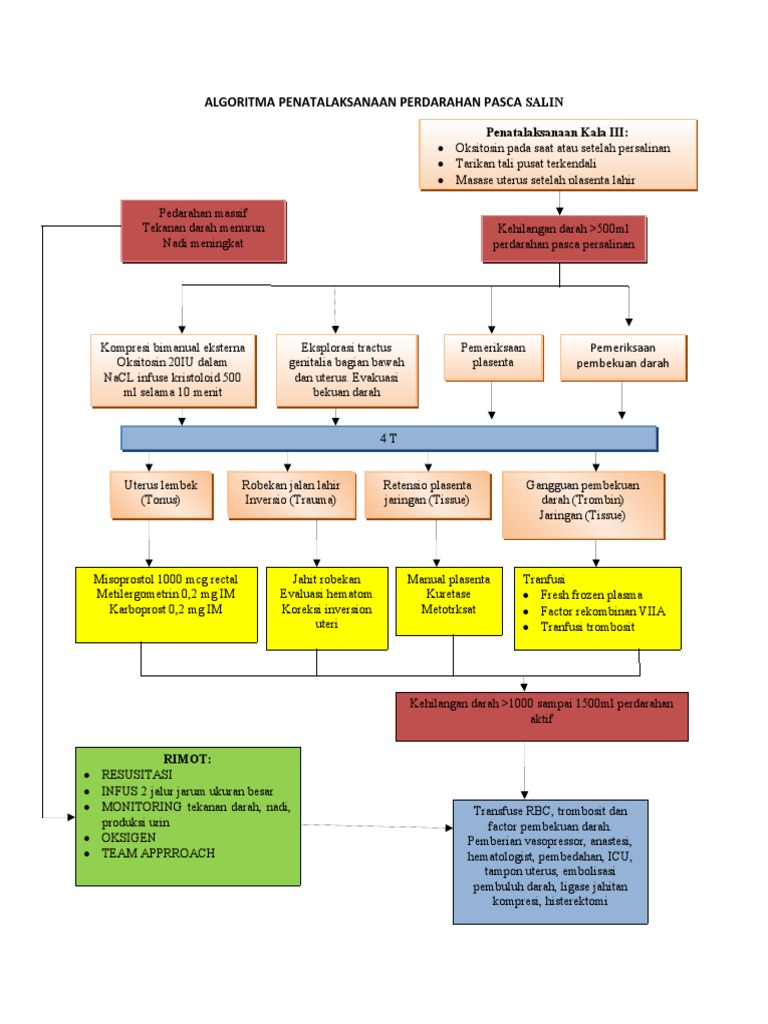 Algoritma Penatalaksanaan Perdarahan Pasca Salin | PDF