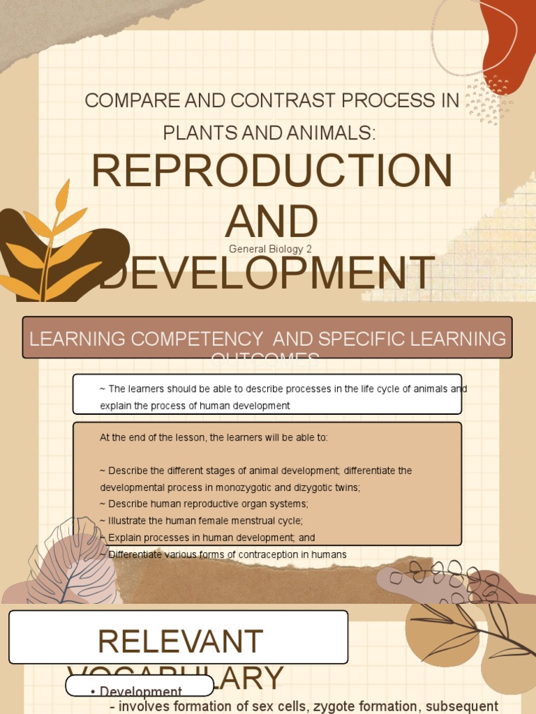 Topic 2 - Male & Female Reproductive System | PDF