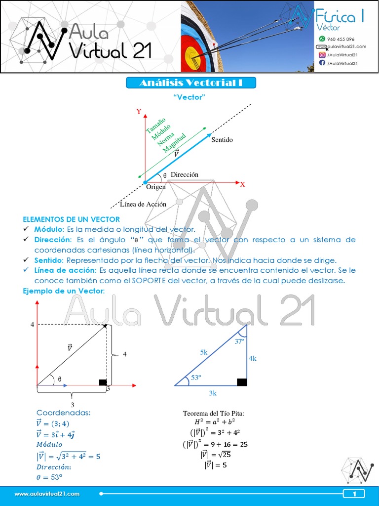 2.1. Análisis Vectorial (Ficha de Trabajo) | PDF | Vector Euclidiano | Álgebra abstracta