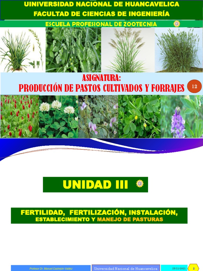 Manejo Eficiente de Pasturas Cultivadas | PDF | Siembra | Pasto