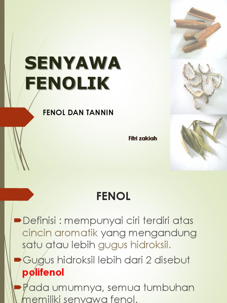 Senyawa Fenolik pada Tumbuhan | PDF