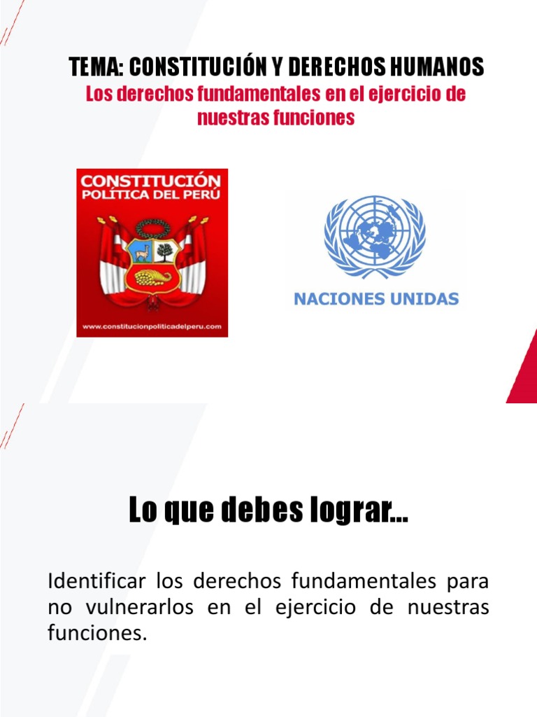 Constitucion Y Derechos Humanos Pdf