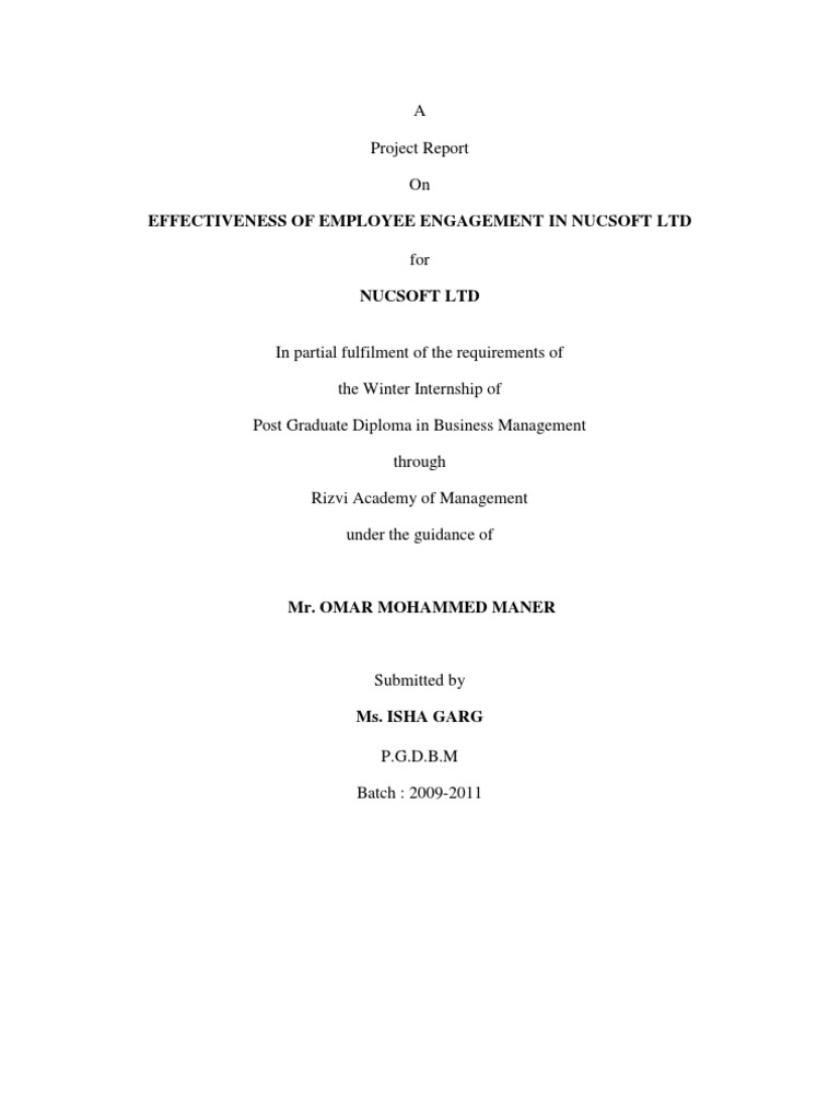 Final Project at Nucsoft | PDF | Strategic Management | Business