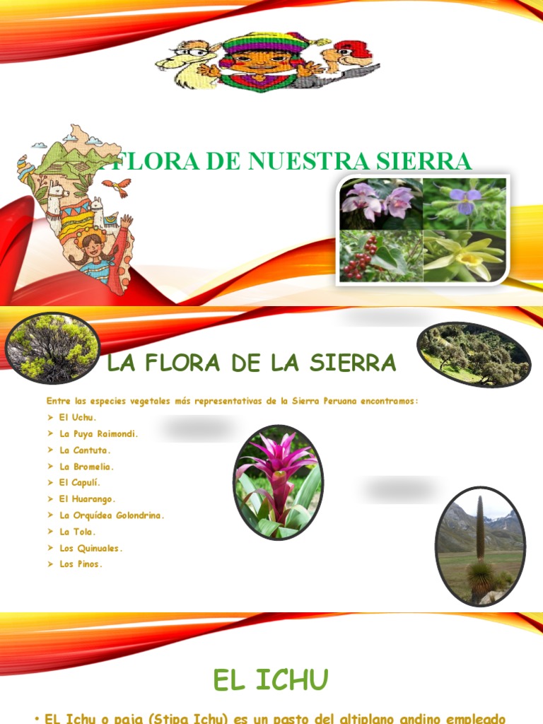 Flora de La Sierra | PDF | Arboles | Perú