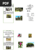Ichu | PDF | Plantas | Horticultura y jardinería