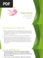 Qeliza Bimore Dhe Qeliza Shtazore | PDF