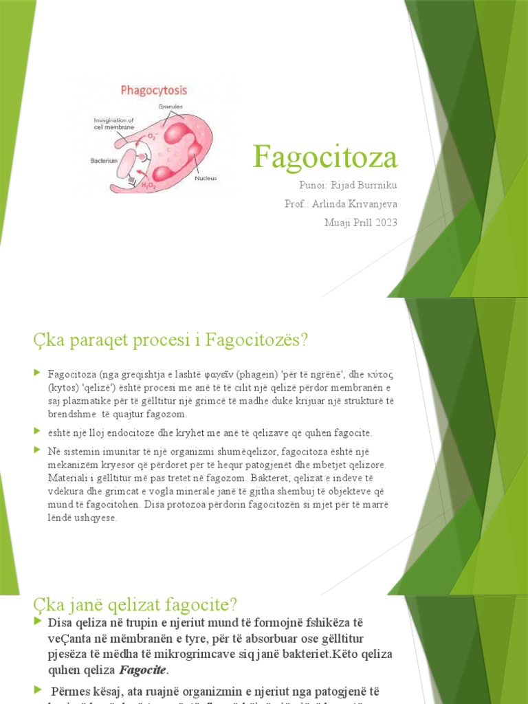 Fagocitoza | PDF