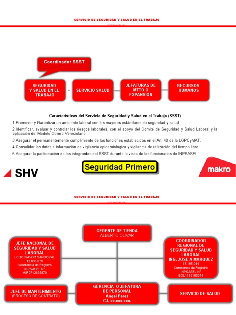 Estructura Del Servicio de Seguridad y Salud en El Trabajo Makro St06 | PDF Estructura Del Servicio de Seguridad y Salud en El Trabajo Makro St06 | PDF