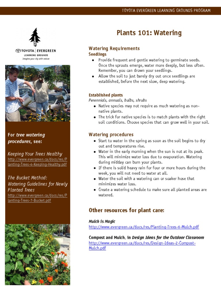 Plants-101-Watering | PDF