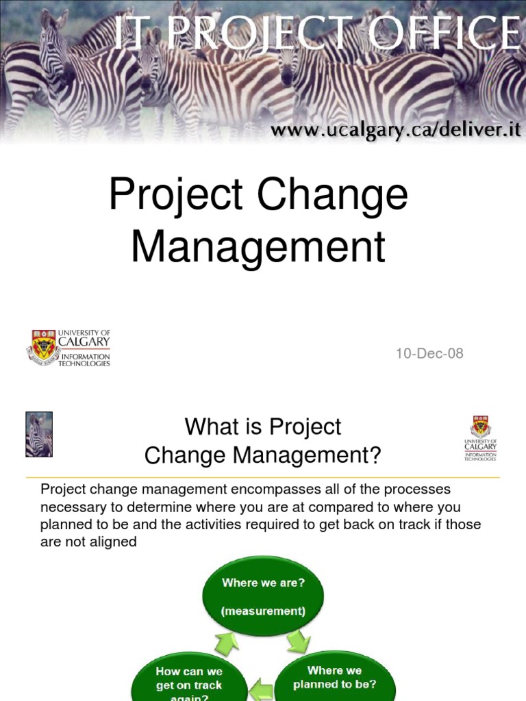 Project Change Management Overview | PDF | Project Management | Risk ...