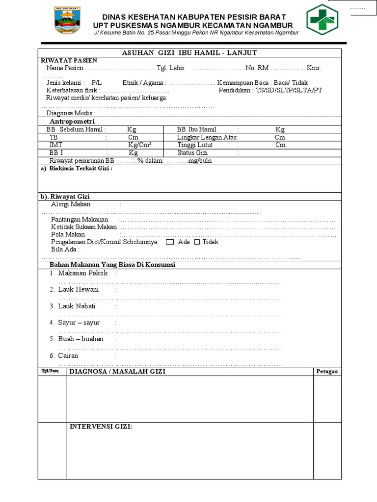 FORMULIR ASUHAN GIZI IBU HAMIL-LANJUT | PDF