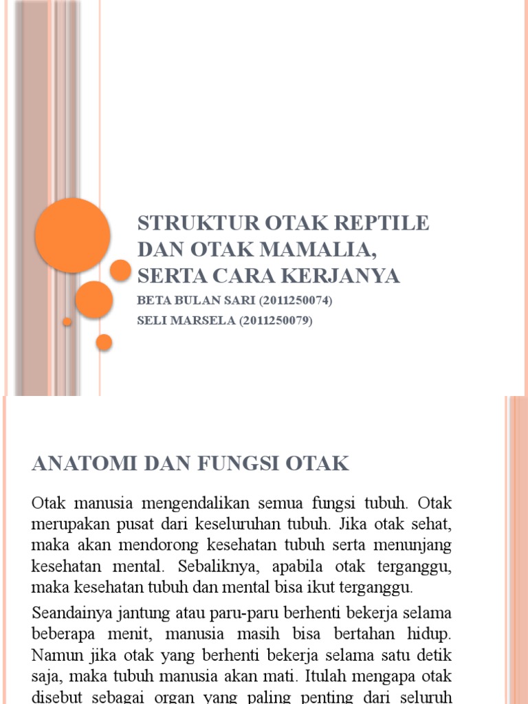 Struktur dan Fungsi Otak Reptil dan Mamalia | PDF | Pengembangan Diri