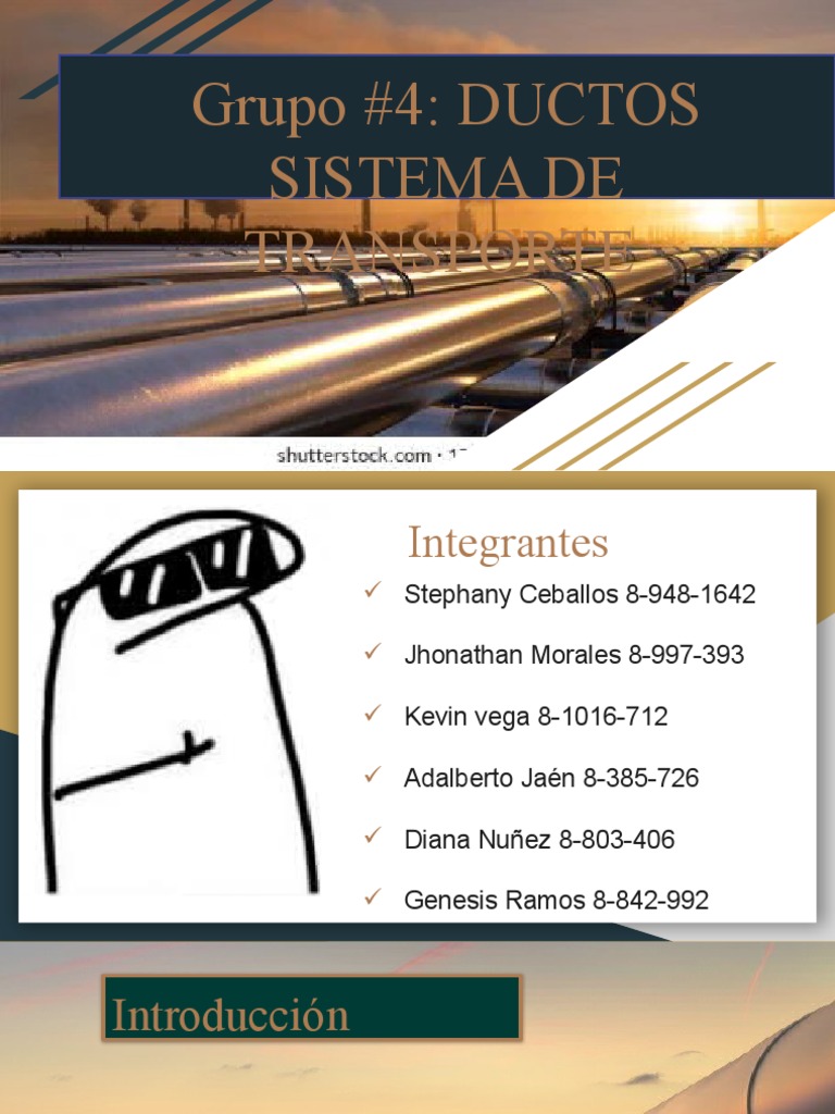 Ductos - Sistema de Transporte | PDF | Transporte por tubería | Tubería (transporte de fluidos)