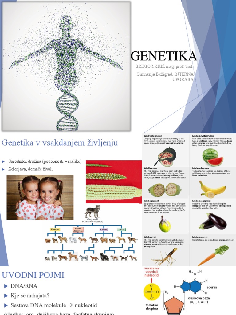2 1 Genetika | PDF