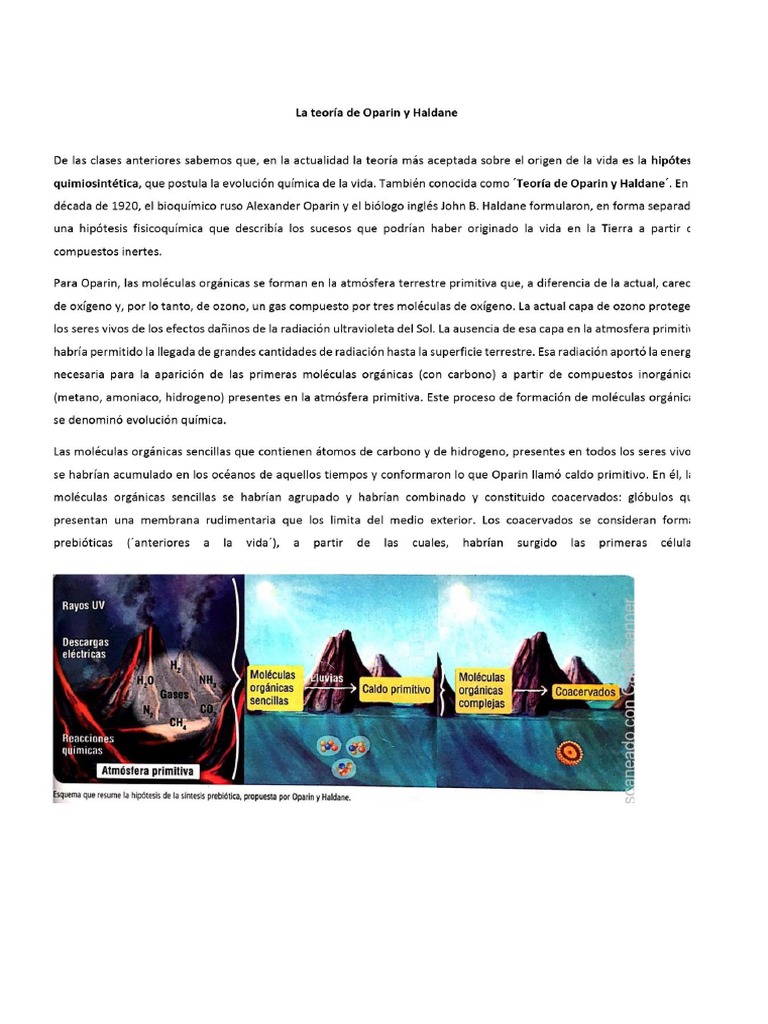 Teoria Oparin y Haldane | PDF