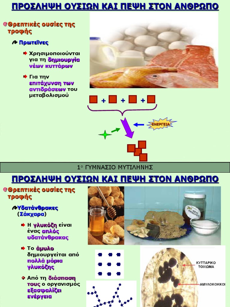 Η Πρόσληψη Ουσιών Και η Πέψη Στον Άνθρωπο | PDF